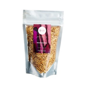 Three insect food pioneers – The Earthbound Report