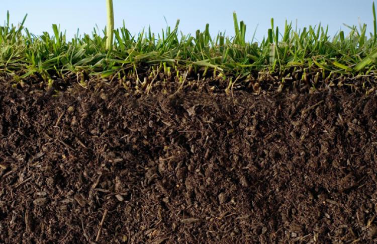 What is soil anyway? – The Earthbound Report