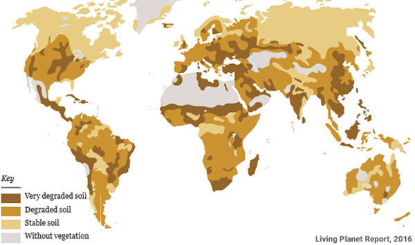 A map of global soil degradation – The Earthbound Report