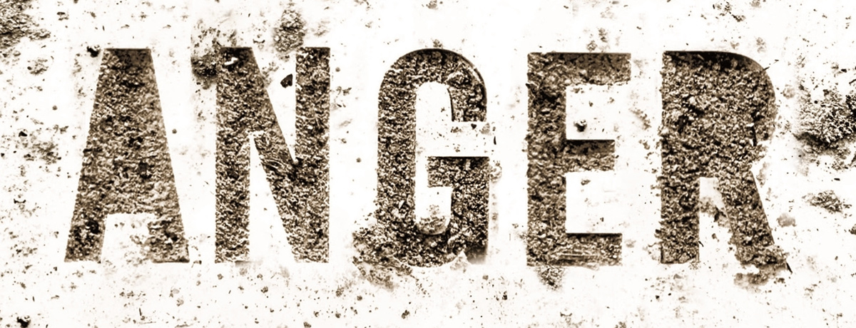 Book review: Age of Anger, by Pankaj Mishra – The Earthbound Report