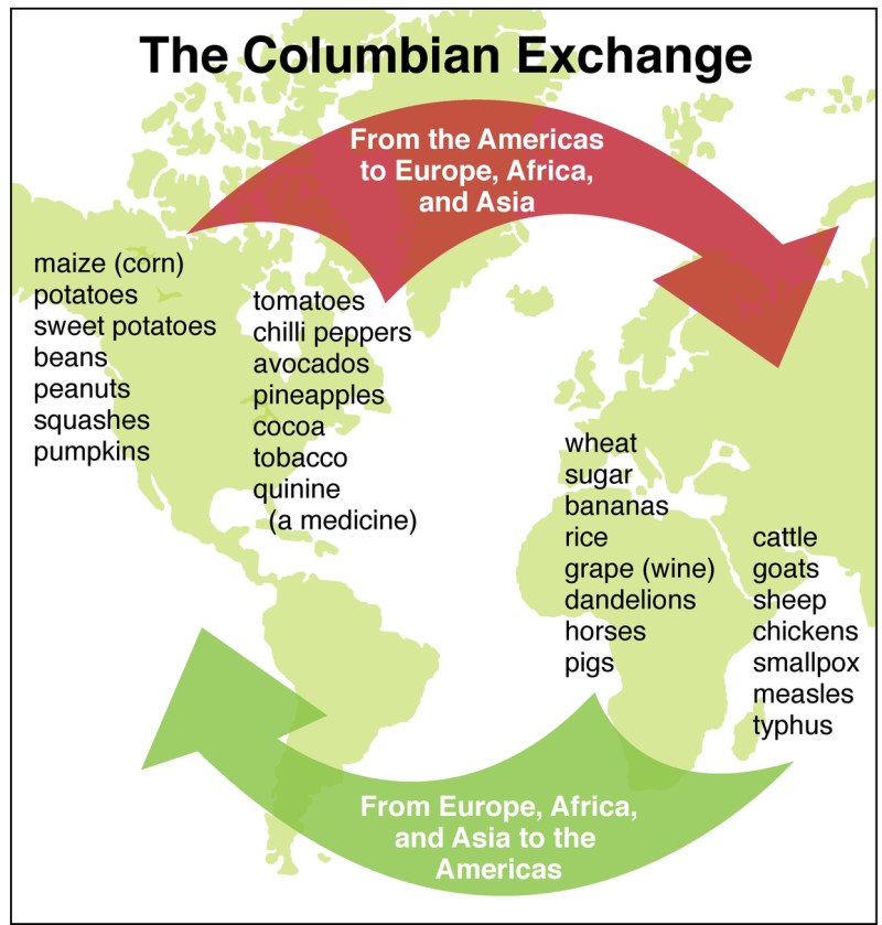 Five ways humans have re-shaped planet Earth – The Earthbound Report