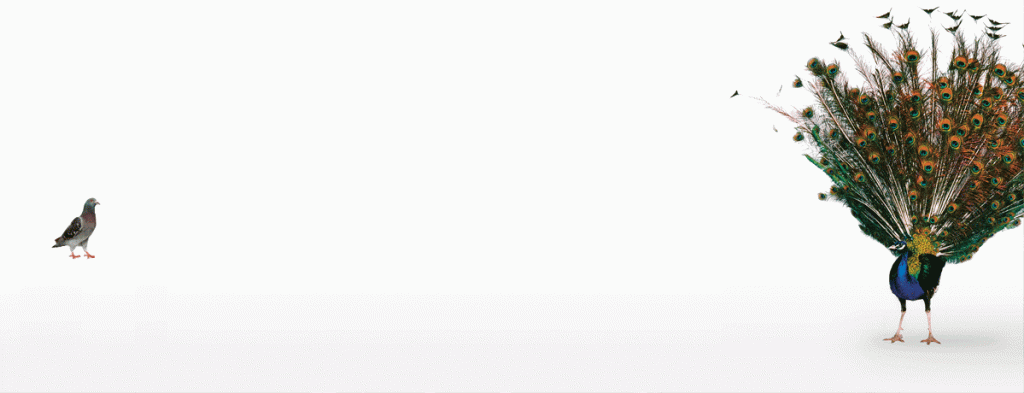 Book review: The Inner Level, by Richard Wilkinson and Kate Pickett ...