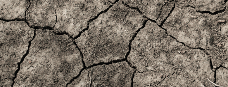 The uninhabitable (parts of the) earth – The Earthbound Report