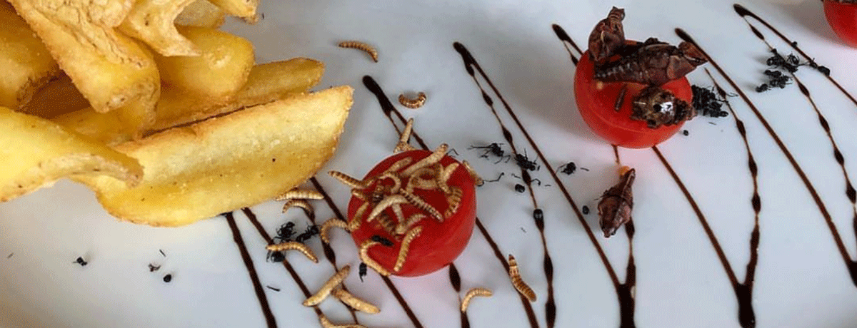 Tasting notes: The Grub Kitchen’s bug burger – The Earthbound Report