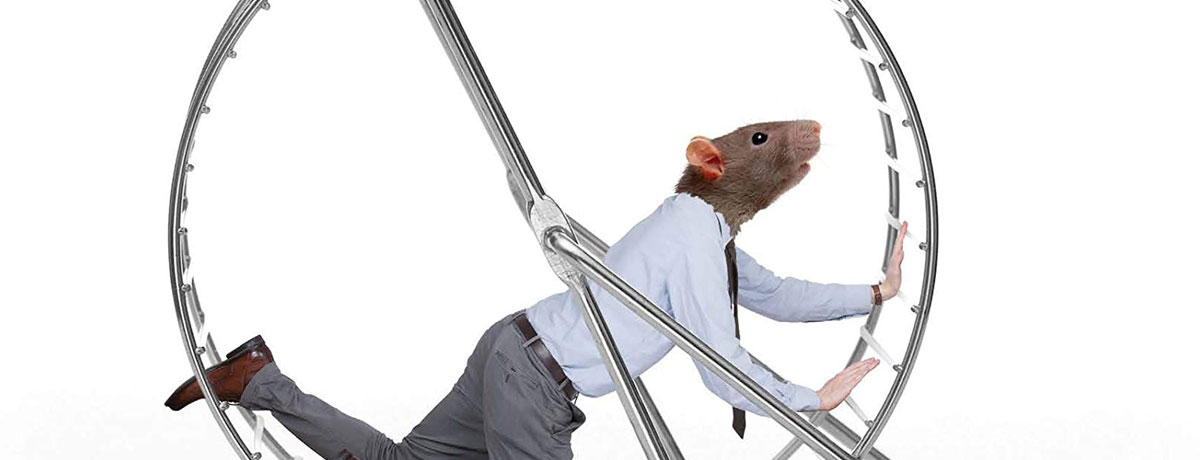 Book review: Lab rats, by Dan Lyons – The Earthbound Report