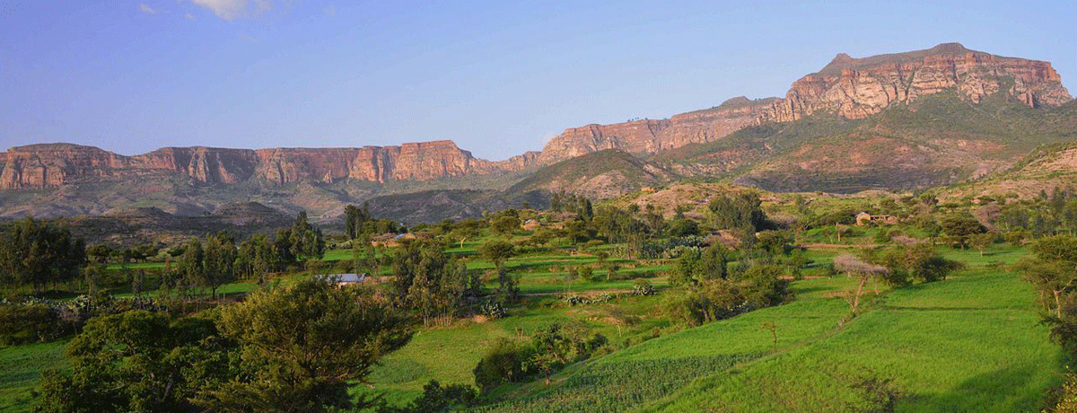 Ethiopia’s record breaking day of tree planting – The Earthbound Report