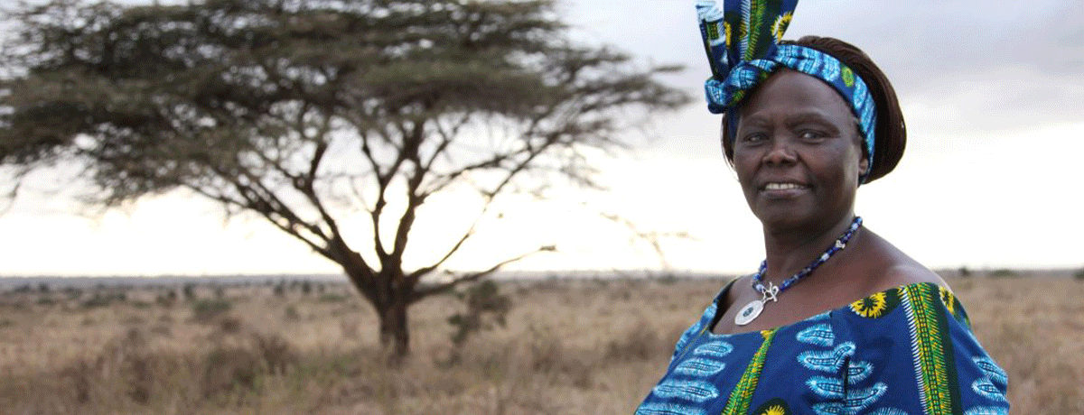 What we can learn from Wangari Maathai – The Earthbound Report
