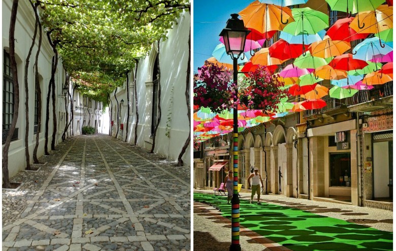 7 ways to reduce the urban heat island effect – The Earthbound Report