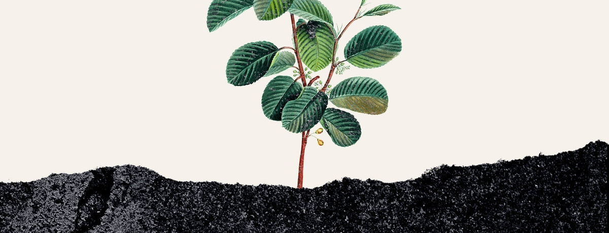 The Age of Resilience, by Jeremy Rifkin – The Earthbound Report