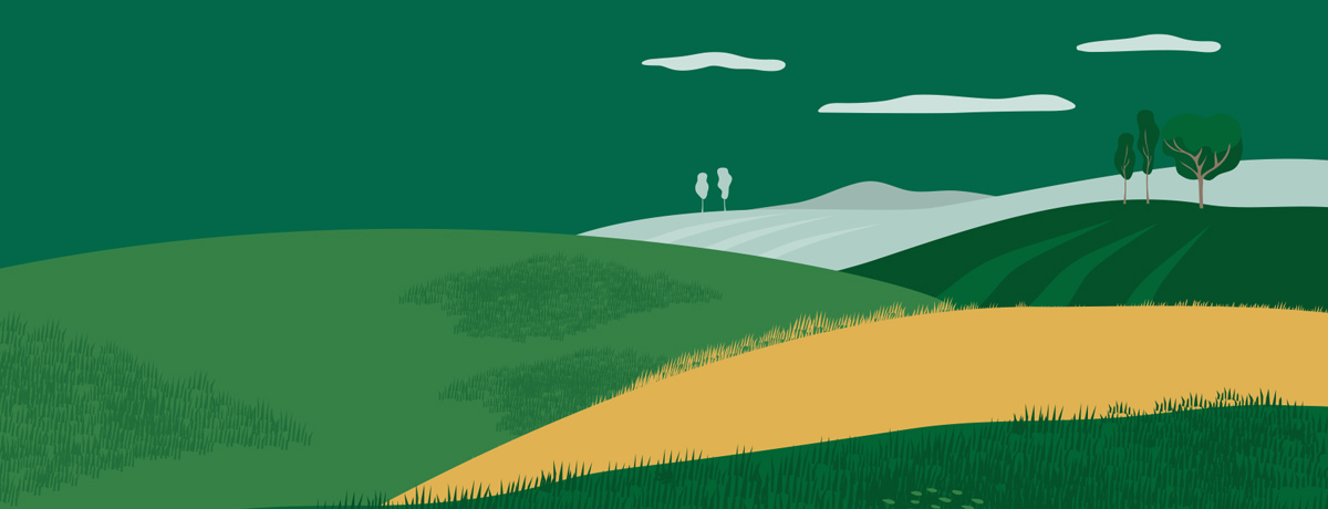 Rwanda’s circular economy plan – The Earthbound Report