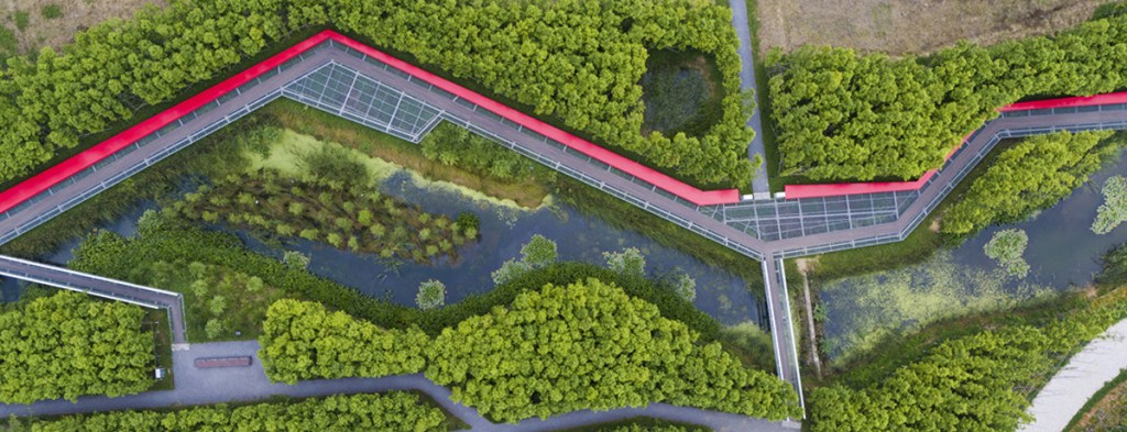 China’s sponge parks – The Earthbound Report