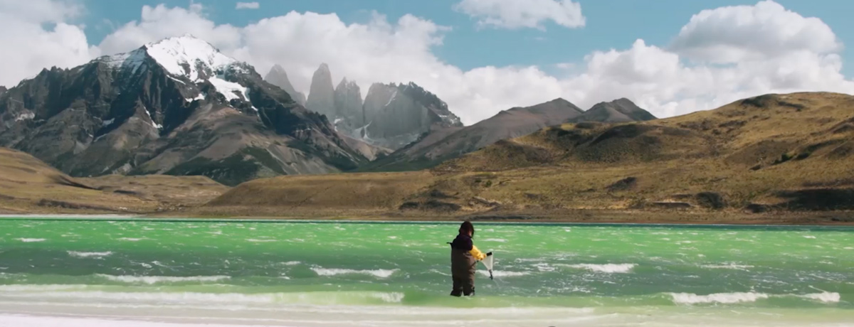 Film review: I am the Earth – The Earthbound Report