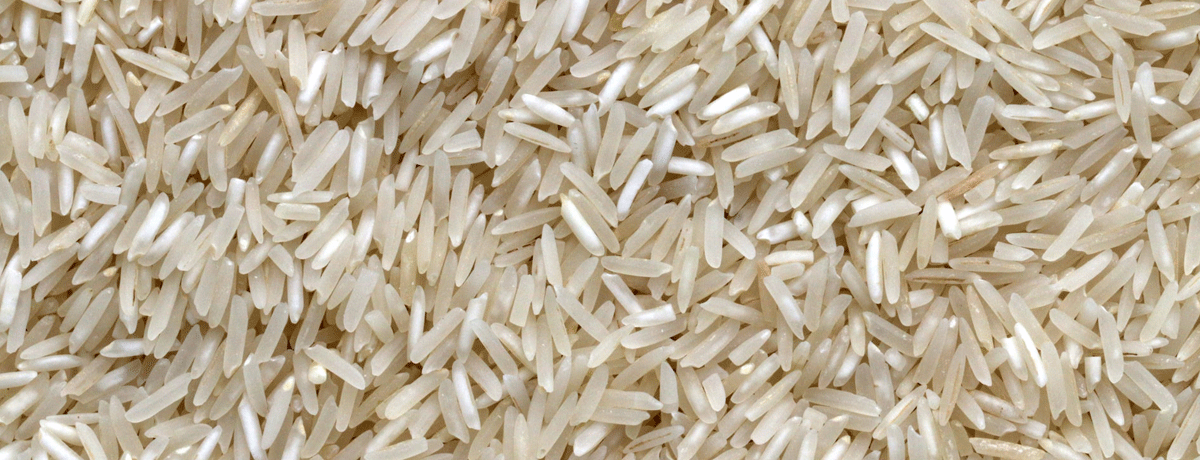 The climate impact of rice – The Earthbound Report
