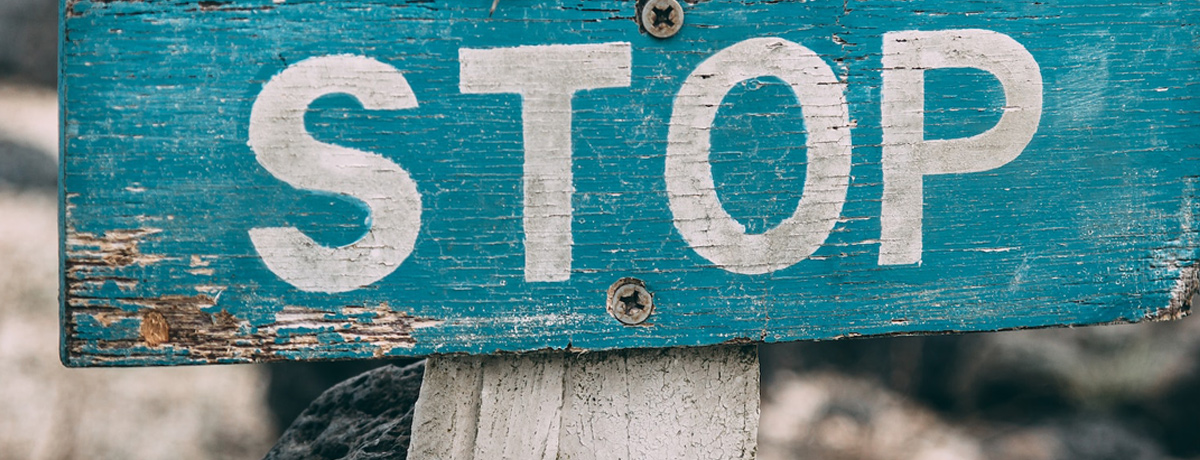 The Culture of Stopping, by Harald Welzer – The Earthbound Report