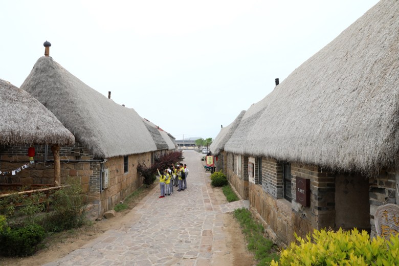 Five examples of building with seaweed – The Earthbound Report