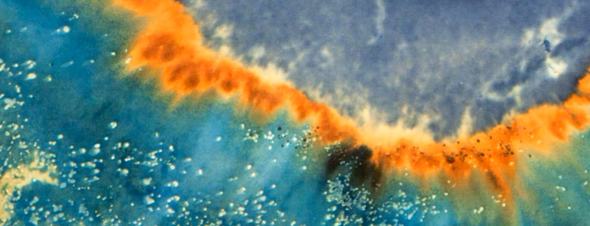 Book review: The Nutmeg’s Curse, by Amitav Ghosh – The Earthbound Report