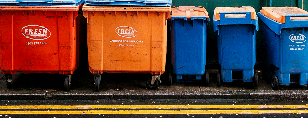 How many bins do you need? – The Earthbound Report