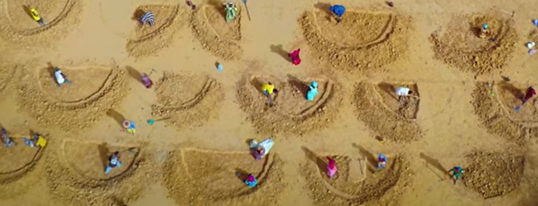 What Africa’s Great Green Wall looks like – The Earthbound Report