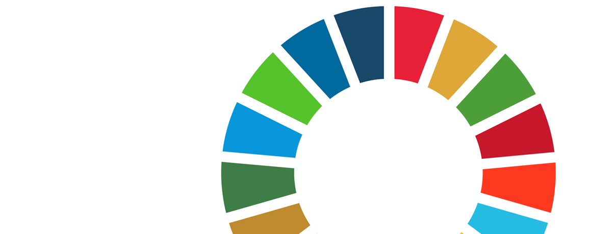 The SDG wedding cake – The Earthbound Report