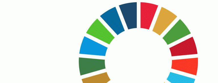 The SDG wedding cake – The Earthbound Report