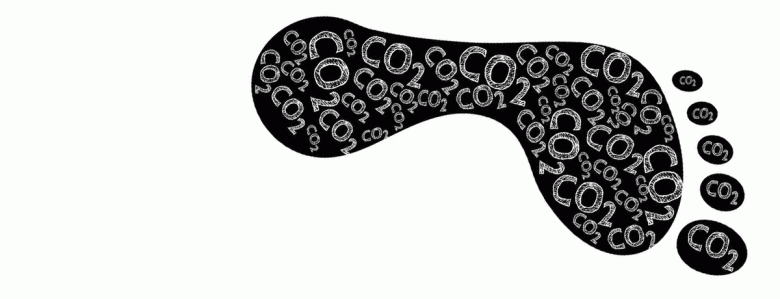 The man with the largest negative carbon footprint? – The Earthbound Report