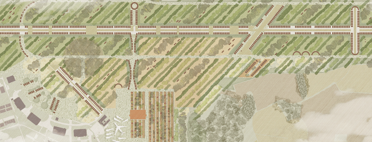 How to reuse an old airport – The Earthbound Report