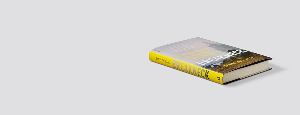 Book review: Breakneck, by Dan Wang – The Earthbound Report