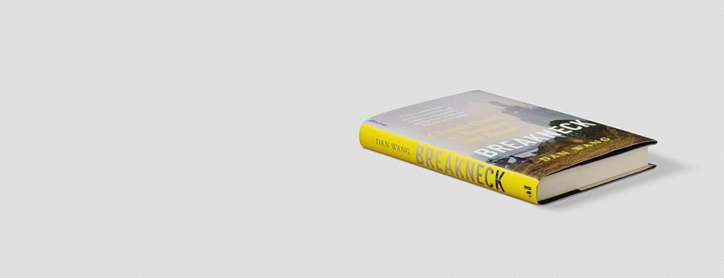 Book review: Breakneck, by Dan Wang – The Earthbound Report